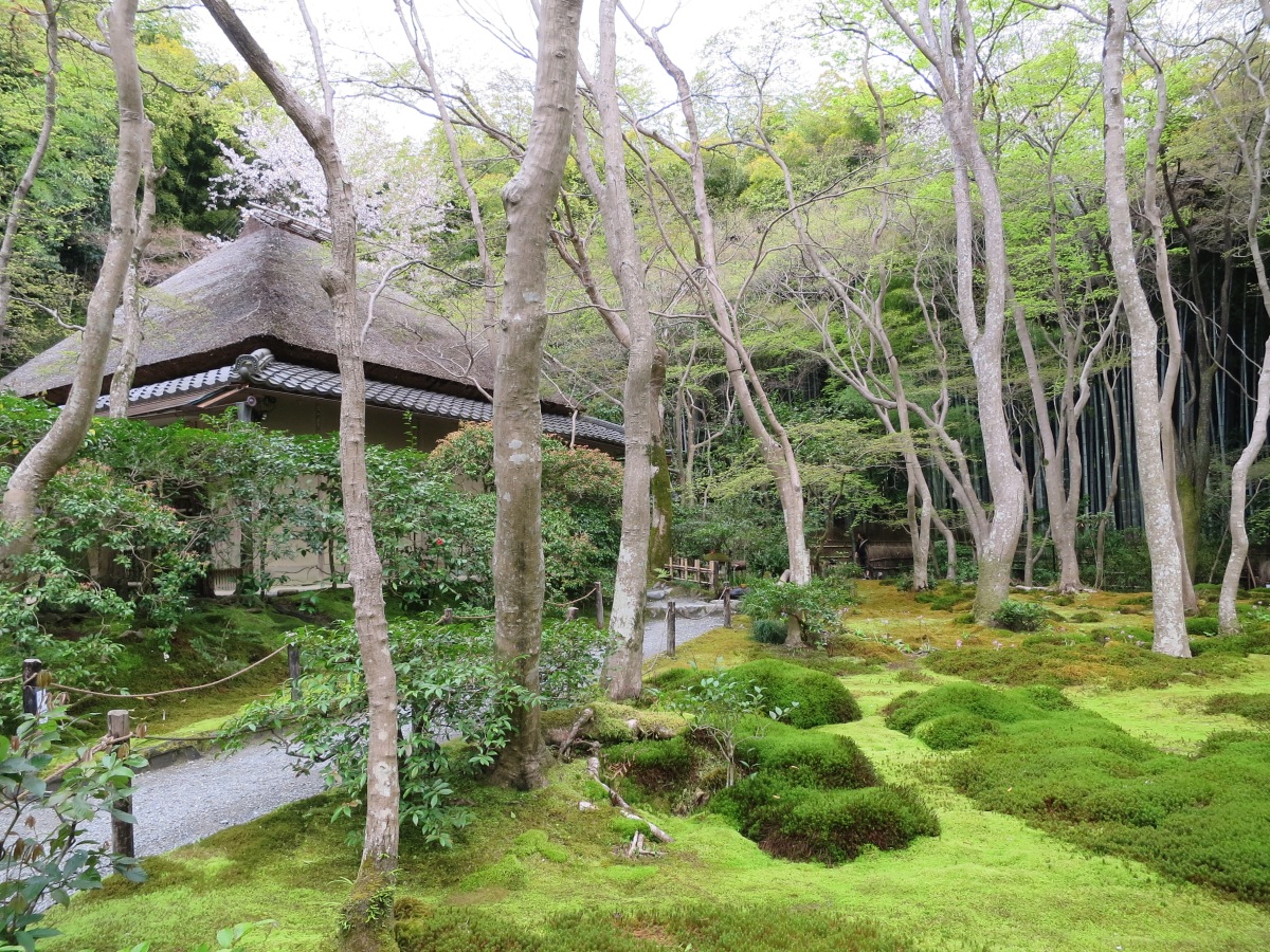Moss Garden at Gioji, Kyoto – Japan's Wonders