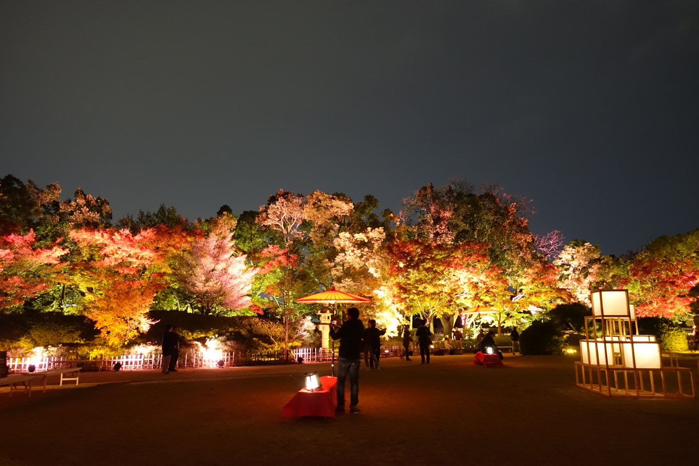 Okayama Castle and its Night Illumination – Japan's Wonders