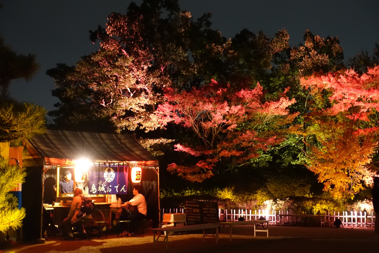 Okayama Castle and its Night Illumination – Japan's Wonders
